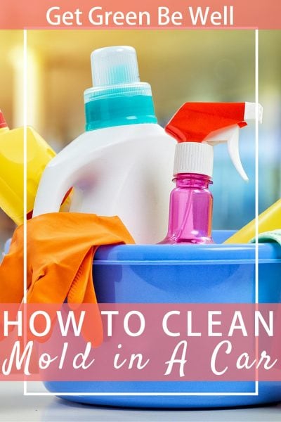 How To Clean Mold in A Car Naturally - Get Green Be Well