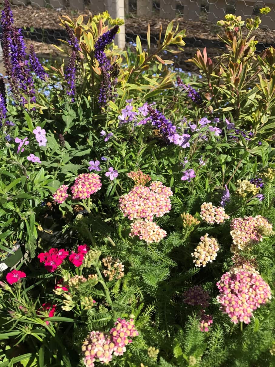How to Make a Small Pollinator Garden - Get Green Be Well