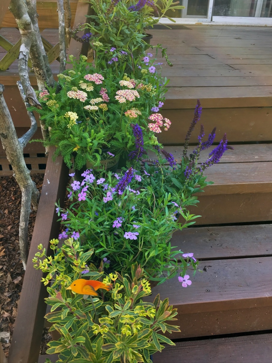 How to Make a Small Pollinator Garden - Get Green Be Well