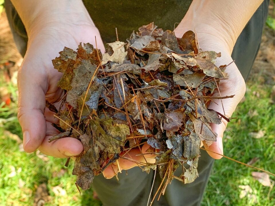 How to Make Shredded Leaf Mulch Fast: WORX Leaf Mulcher Review - Get ...