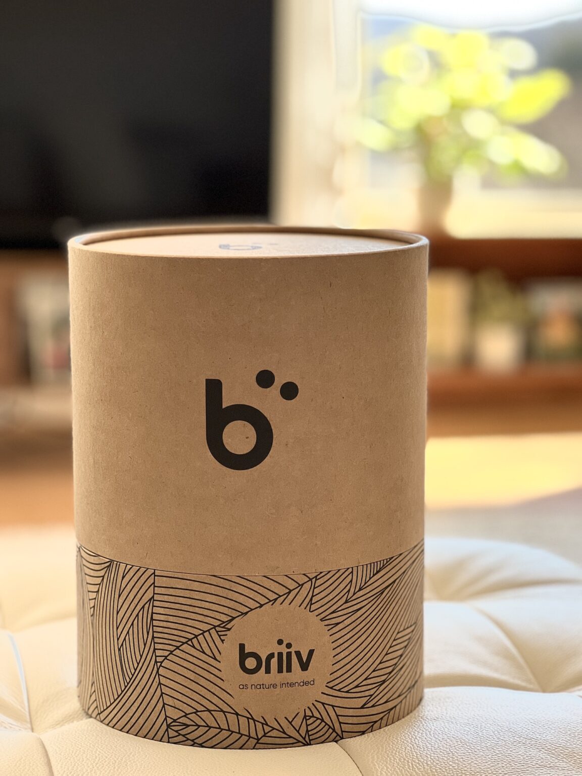Briiv Air Filter Review