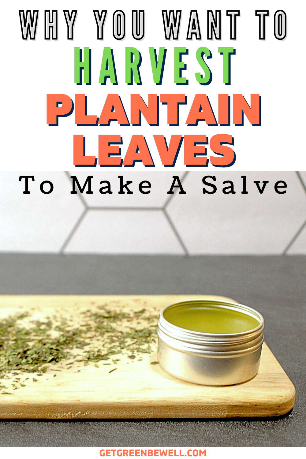 How to Make Plantain Salve - Get Green Be Well