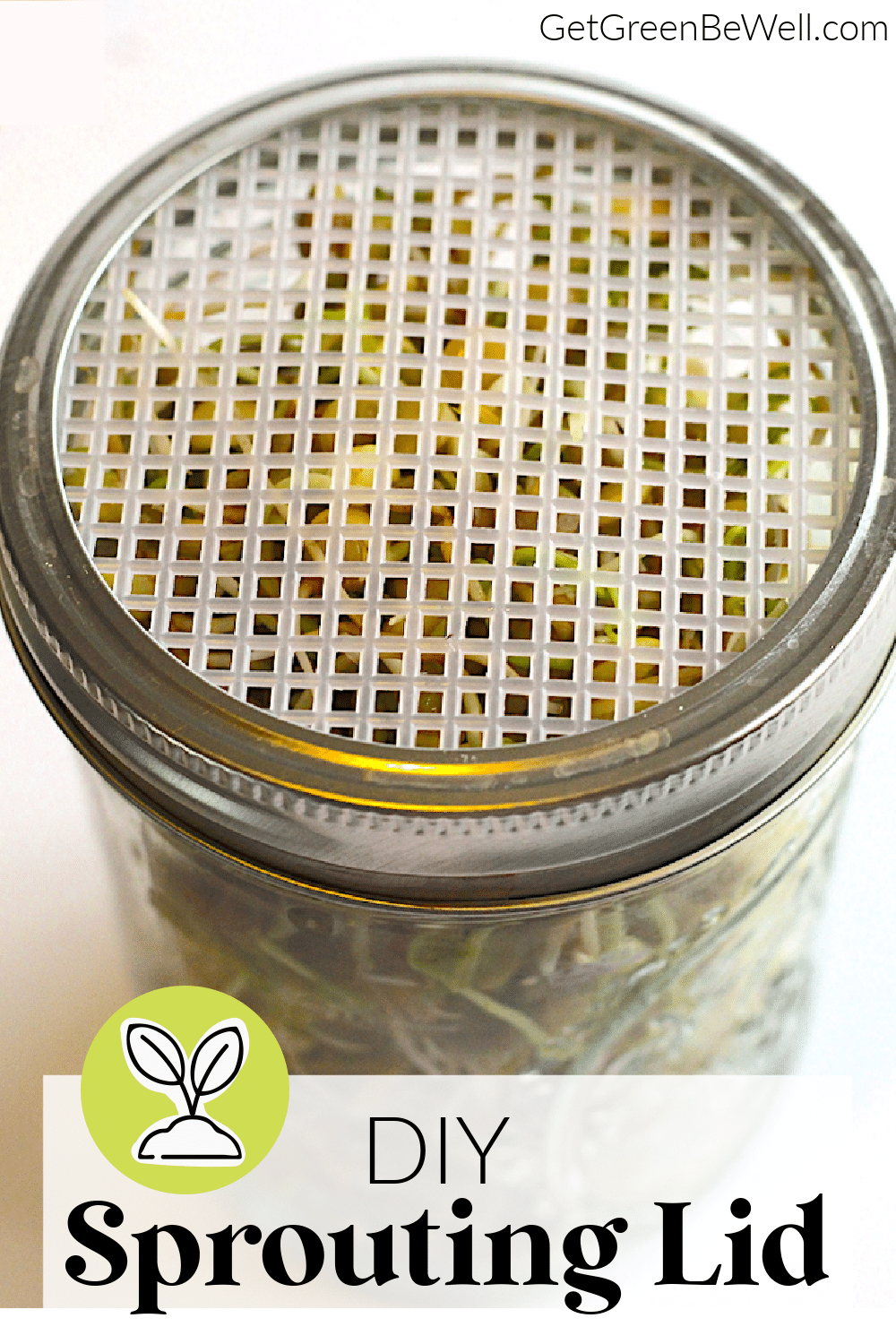 DIY Sprouting Lid for a Mason Jar - Get Green Be Well